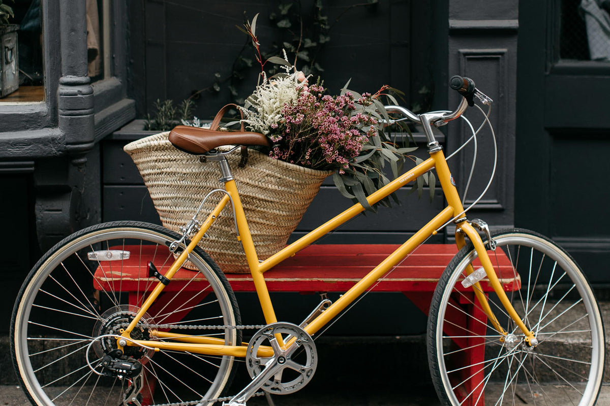Treadly Bike Shop, Norwood
